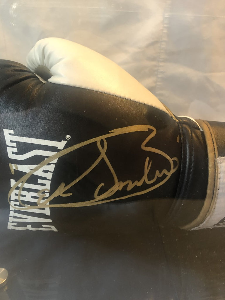 Canelo Alvarez autographed signed pro gloves with display case COA ...