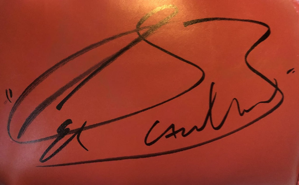 'Saul' Canelo Alvarez Autographed Signed Everlast Boxing Glove ...