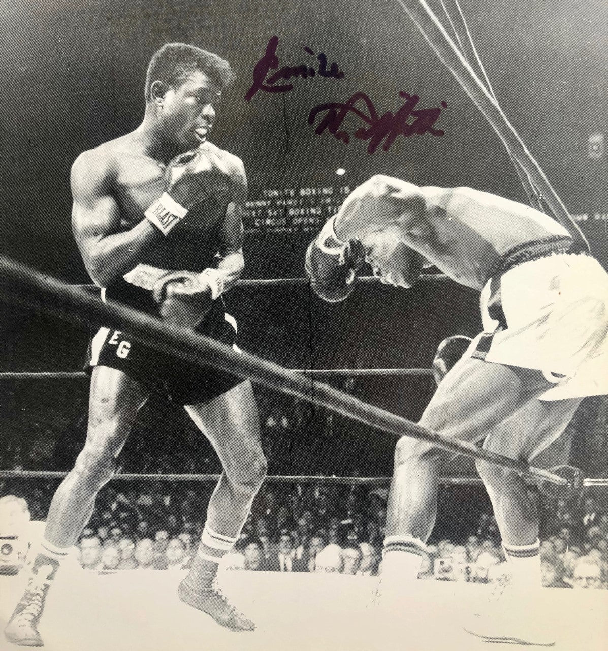 Emile Griffith Autographed 8x10 Black & White Photo World Champion Box ...