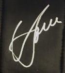 Vasyl Lomachenko Autographed Championship Boxing WBA Belt in Silver Si ...