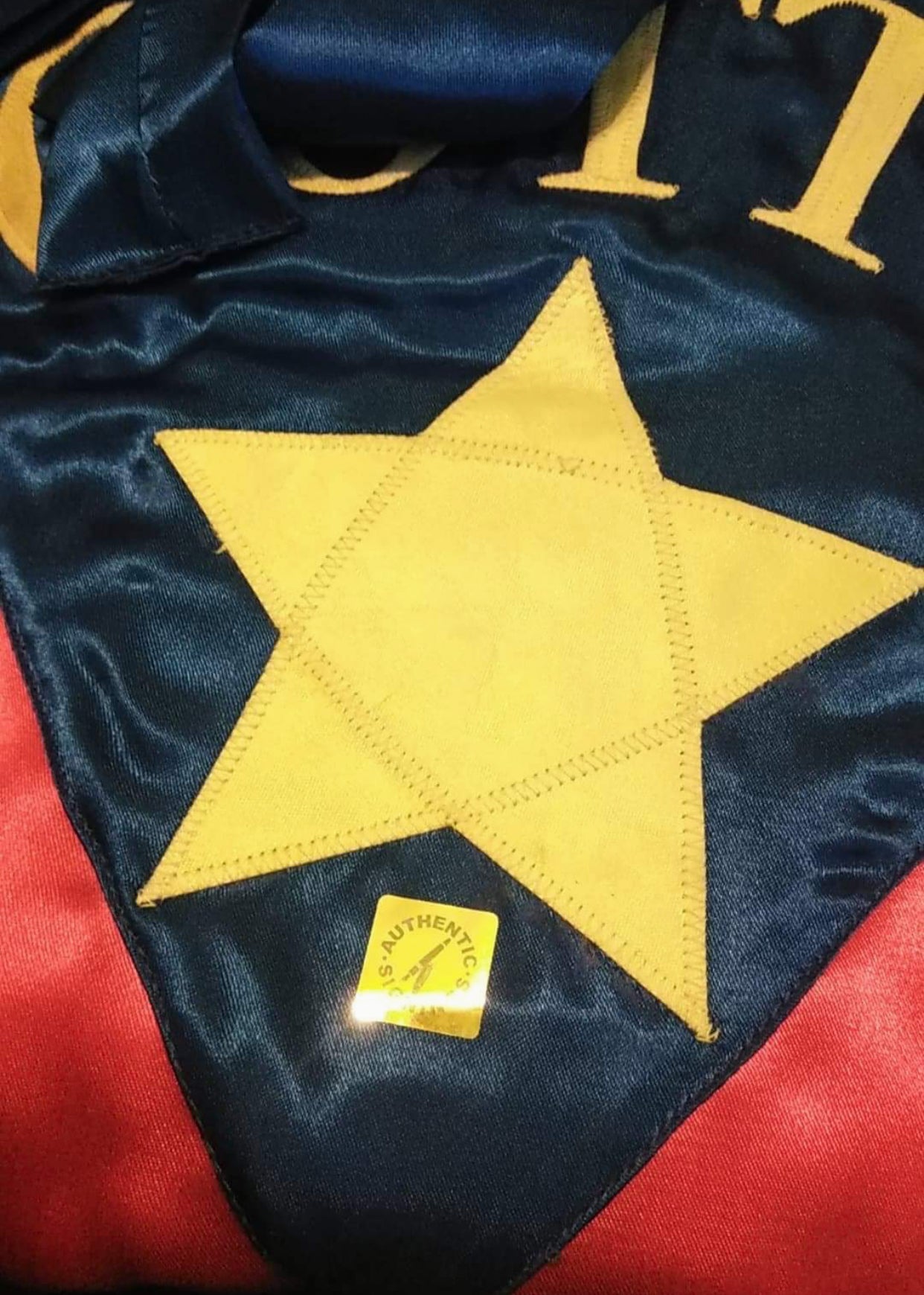 Miguel Cotto Signed Puerto Rico Custom Made Boxing Robe JSA, ASI ...