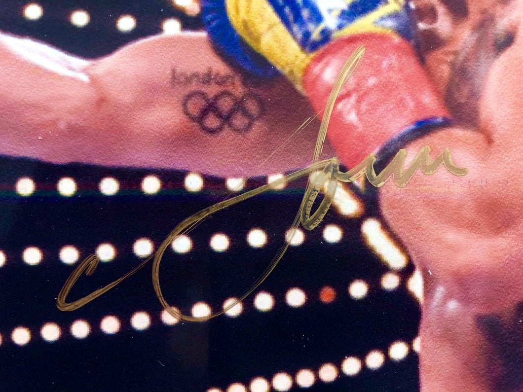 Vasyl Lomachenko Autographed 8x10 action fighting photo in Gold Signat ...