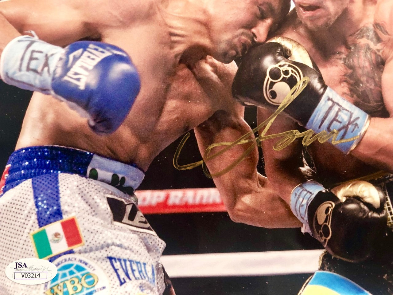 Vasyl Lomachenko Autographed 8x10 action fight photo in Gold Signature ...