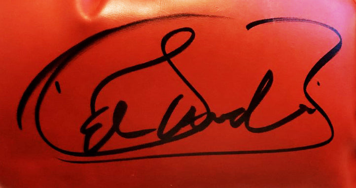 Saul Canelo Alvarez Autographed Red Everlast Boxing Glove in Black sig ...