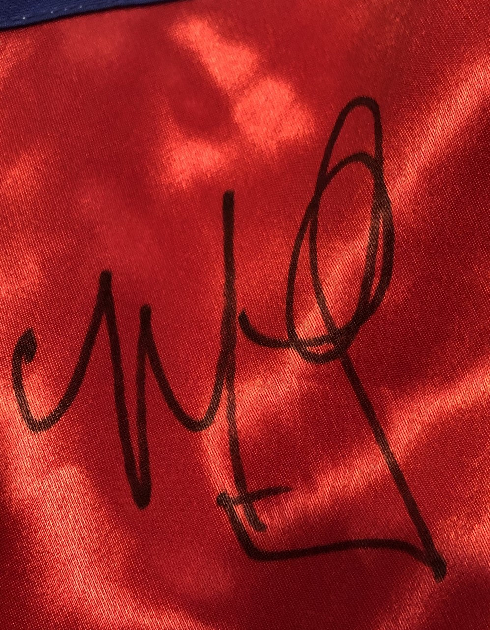 Miguel Cotto Signed Puerto Rico Custom Made Boxing Trunks, JSA ...