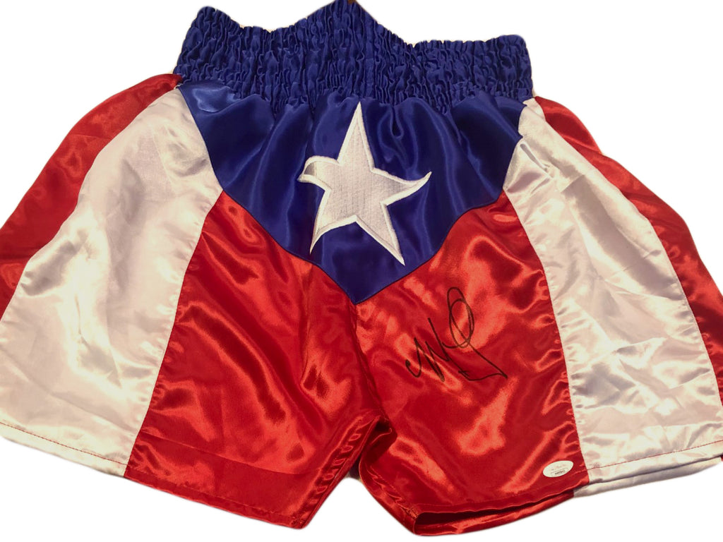 Miguel Cotto Signed Puerto Rico Custom Made Boxing Trunks, JSA ...
